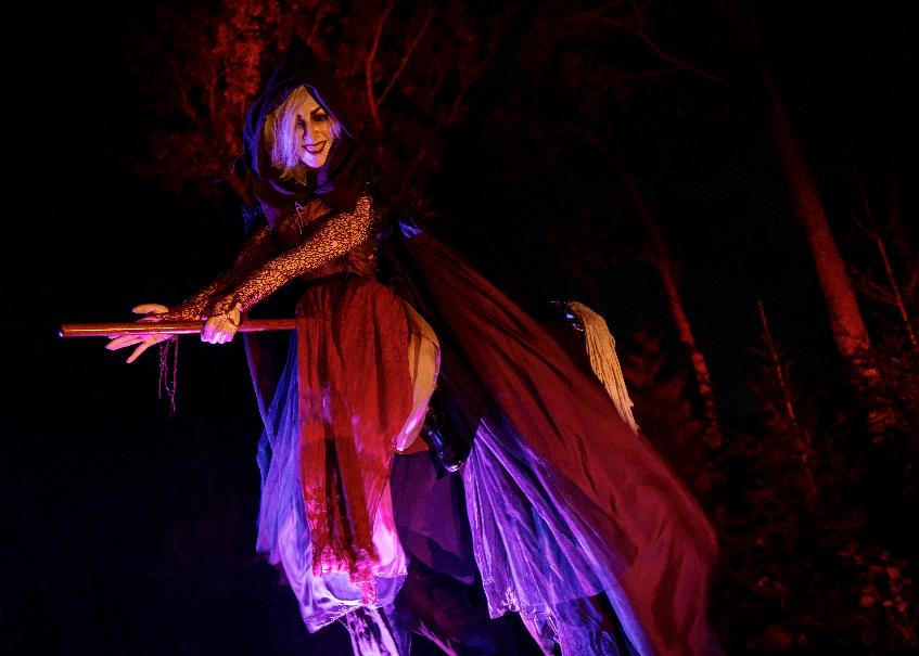 Hocus Pocus Witches Flying